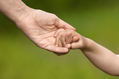 Adult Holding A Hand Of Child Stock Photo & More Pictures of Adult - iStock Adult Holding A Hand Of Child Stock Photo & More Pictures of Adult - iStock