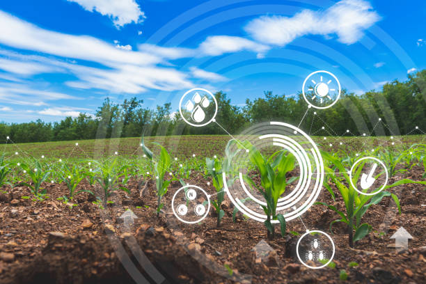 Agriculture Technology Stock Photos, Pictures & Royalty-Free Images ... Agriculture Technology Stock Photos, Pictures & Royalty-Free Images ...