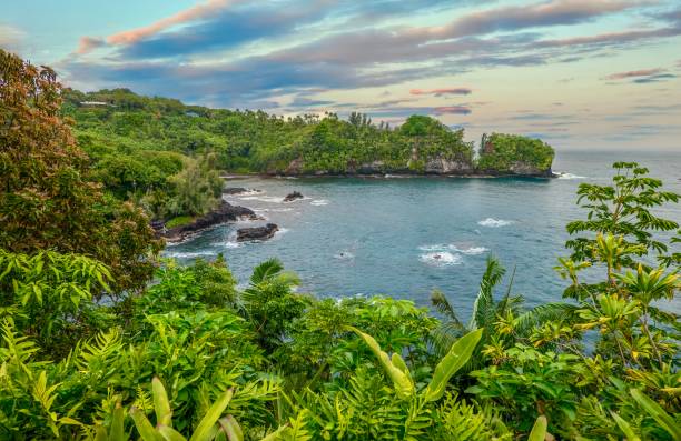 Hilo Hawaii Stock Photos, Pictures & Royalty-Free Images - iStock Hilo Hawaii Stock Photos, Pictures & Royalty-Free Images - iStock