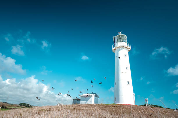 Ostende - Bilder und Stockfotos - iStock Ostende - Bilder und Stockfotos - iStock