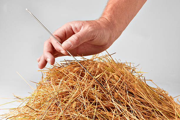 Needle In A Haystack Pictures, Images and Stock Photos - iStock Needle In A Haystack Pictures, Images and Stock Photos - iStock