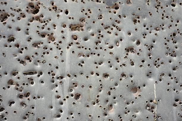 Bullet Hole Metal Stock Photos, Pictures & Royalty-Free Images - iStock Bullet Hole Metal Stock Photos, Pictures & Royalty-Free Images - iStock