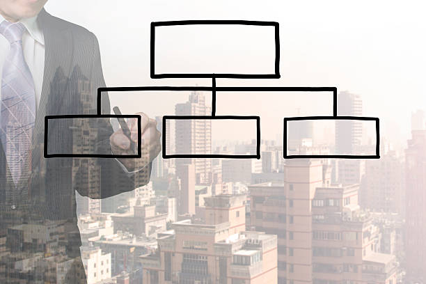 Royalty Free Organization Chart Pictures, Images and Stock Photos - iStock Royalty Free Organization Chart Pictures, Images and Stock Photos - iStock