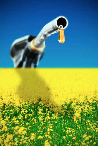 Konzept Biokraftstoff Stockfoto und mehr Bilder von Alternative ... Konzept Biokraftstoff Stockfoto und mehr Bilder von Alternative ...