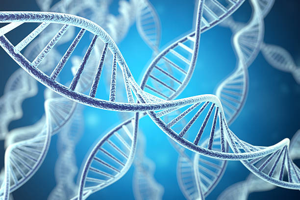 Rna Stock Photos, Pictures & Royalty-Free Images - iStock Rna Stock Photos, Pictures & Royalty-Free Images - iStock