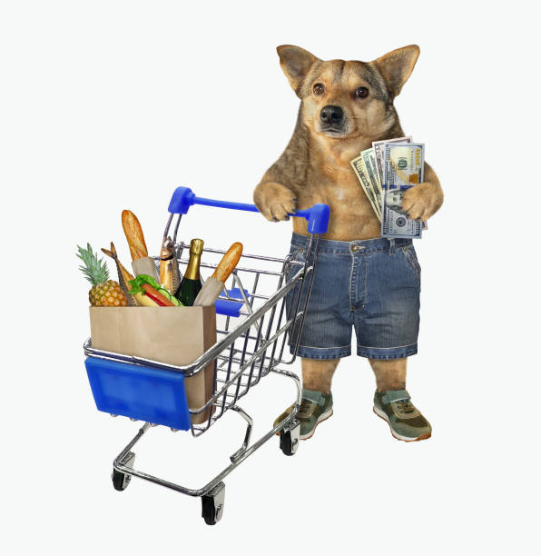 Dog Pushing Shopping Cart Stock Photos, Pictures & Royalty-Free Images ... Dog Pushing Shopping Cart Stock Photos, Pictures & Royalty-Free Images ...