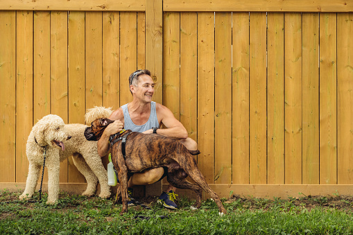 Dog Walker Taking A Break Stock Photo - Download Image Now - iStock Dog Walker Taking A Break Stock Photo - Download Image Now - iStock