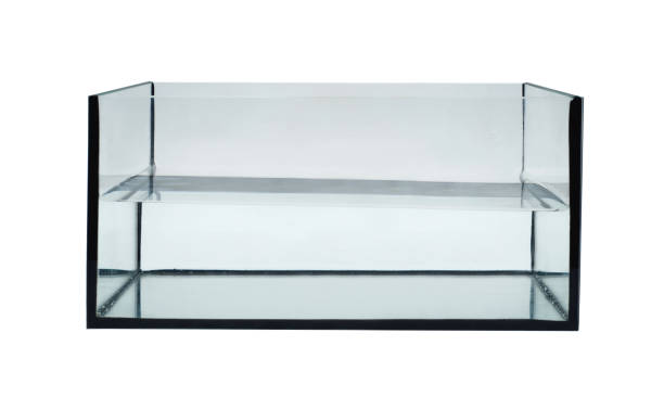 Royalty Free Empty Fish Tank Pictures, Images and Stock Photos - iStock Royalty Free Empty Fish Tank Pictures, Images and Stock Photos - iStock