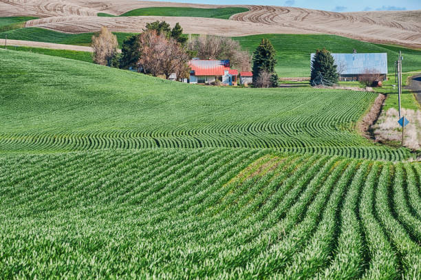 Contour Plowing Stock Photos, Pictures & Royalty-Free Images - iStock Contour Plowing Stock Photos, Pictures & Royalty-Free Images - iStock