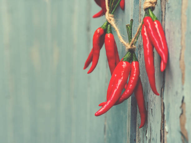 Chilli String Stock Photos, Pictures & Royalty-Free Images - iStock Chilli String Stock Photos, Pictures & Royalty-Free Images - iStock