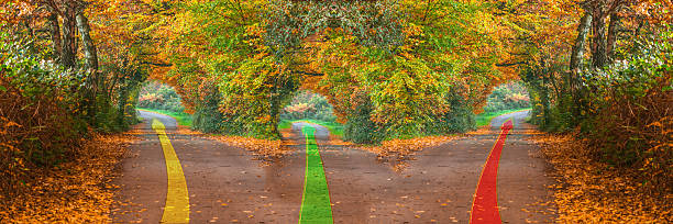 Royalty Free Multiple Paths Pictures, Images and Stock Photos - iStock Royalty Free Multiple Paths Pictures, Images and Stock Photos - iStock