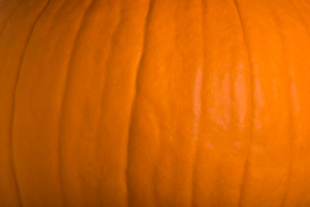 Pumpkin Texture Stock Photos, Pictures & Royalty-Free Images - iStock Pumpkin Texture Stock Photos, Pictures & Royalty-Free Images - iStock