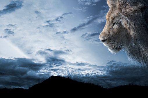 God Looking Down From Heaven Stock Photo - Download Image Now - iStock God Looking Down From Heaven Stock Photo - Download Image Now - iStock