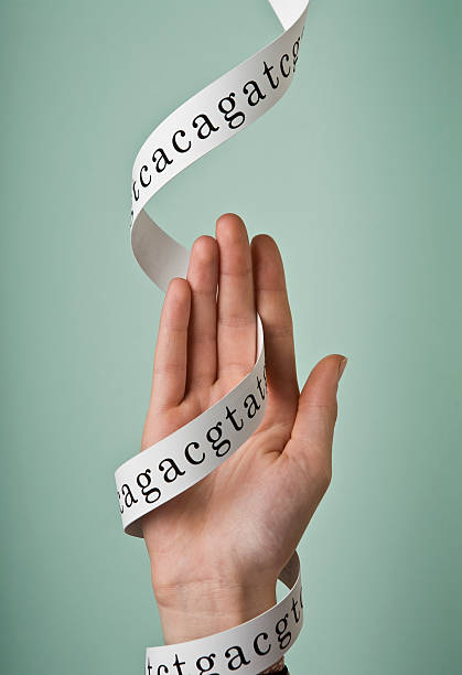 Gene Inheritance Stock Photos, Pictures & Royalty-Free Images - iStock Gene Inheritance Stock Photos, Pictures & Royalty-Free Images - iStock