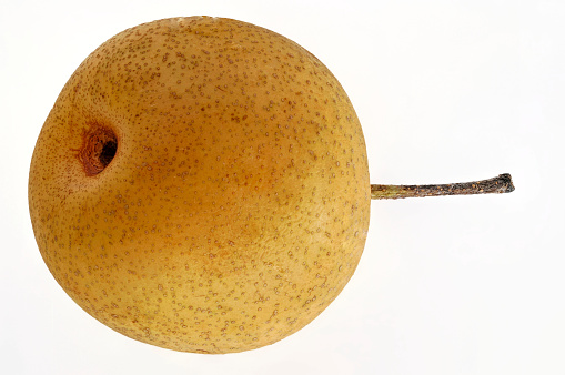 Japanese Nashi Pear Stock Photo - Download Image Now - iStock Japanese Nashi Pear Stock Photo - Download Image Now - iStock