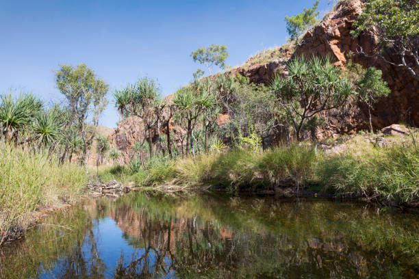 Billabong Stock Photos, Pictures & Royalty-Free Images - iStock Billabong Stock Photos, Pictures & Royalty-Free Images - iStock