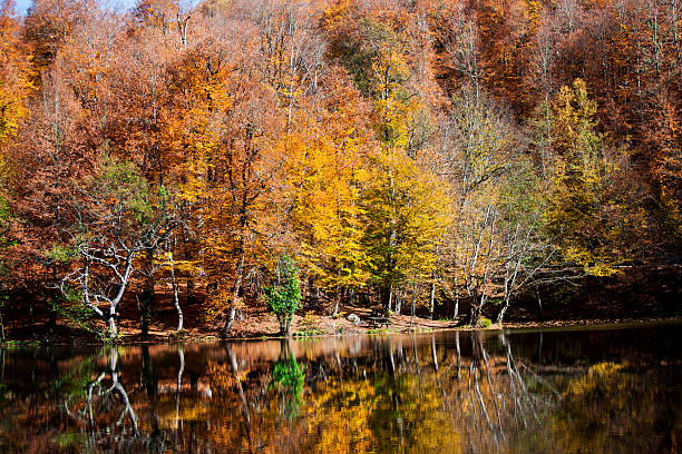 Backwater Curve Stock Photos, Pictures & Royalty-Free Images - iStock Backwater Curve Stock Photos, Pictures & Royalty-Free Images - iStock