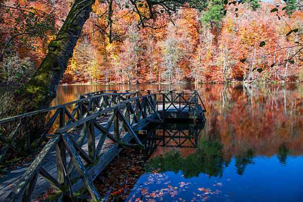 Backwater Curve Stock Photos, Pictures & Royalty-Free Images - iStock Backwater Curve Stock Photos, Pictures & Royalty-Free Images - iStock
