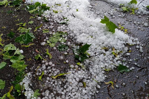 Hail Pictures | Download Free Images on Unsplash Hail Pictures | Download Free Images on Unsplash