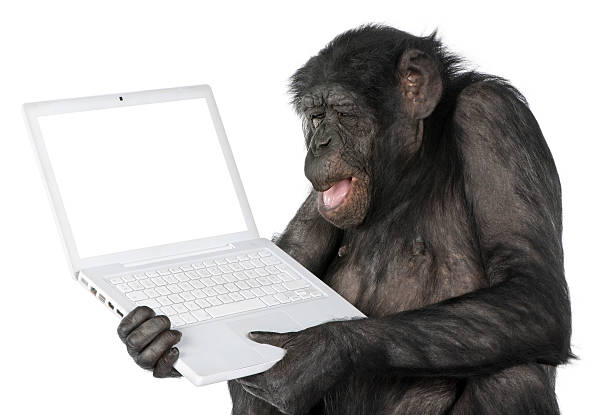 Monkey Computer Stock Photos, Pictures & Royalty-Free Images - iStock Monkey Computer Stock Photos, Pictures & Royalty-Free Images - iStock