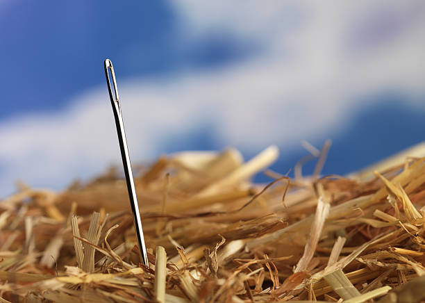 Needle In A Haystack Pictures, Images and Stock Photos - iStock Needle In A Haystack Pictures, Images and Stock Photos - iStock