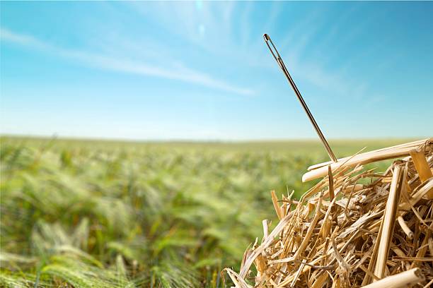 Needle In A Haystack Pictures, Images and Stock Photos - iStock Needle In A Haystack Pictures, Images and Stock Photos - iStock