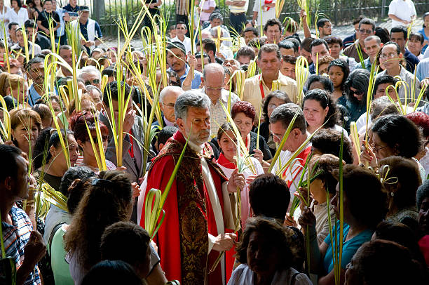 Corpus Christi Palm Tree Stock Photos, Pictures & Royalty-Free Images ... Corpus Christi Palm Tree Stock Photos, Pictures & Royalty-Free Images ...