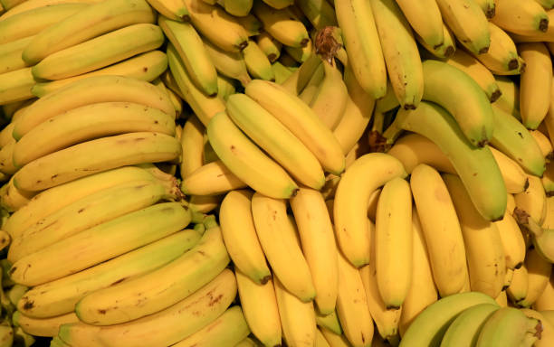 Cavendish Banan - Zdjęcia i ilustracje - iStock Cavendish Banan - Zdjęcia i ilustracje - iStock