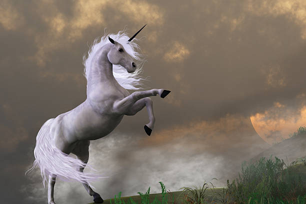 Royalty Free Unicorn Pictures, Images and Stock Photos - iStock Royalty Free Unicorn Pictures, Images and Stock Photos - iStock