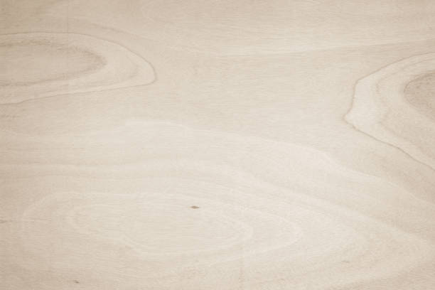 Best Oak Wood Bleached Seamless Texture Stock Photos, Pictures ... Best Oak Wood Bleached Seamless Texture Stock Photos, Pictures ...