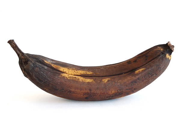 Royalty Free Rotten Banana Pictures, Images and Stock Photos - iStock Royalty Free Rotten Banana Pictures, Images and Stock Photos - iStock
