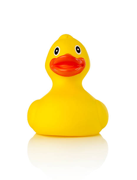 Royalty Free Rubber Duck Pictures, Images and Stock Photos - iStock Royalty Free Rubber Duck Pictures, Images and Stock Photos - iStock