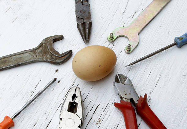 Best Wrong Tool Stock Photos, Pictures & Royalty-Free Images - iStock Best Wrong Tool Stock Photos, Pictures & Royalty-Free Images - iStock