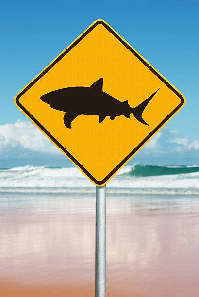 Best Warning Sign Danger Shark Sign Stock Photos, Pictures & Royalty ... Best Warning Sign Danger Shark Sign Stock Photos, Pictures & Royalty ...