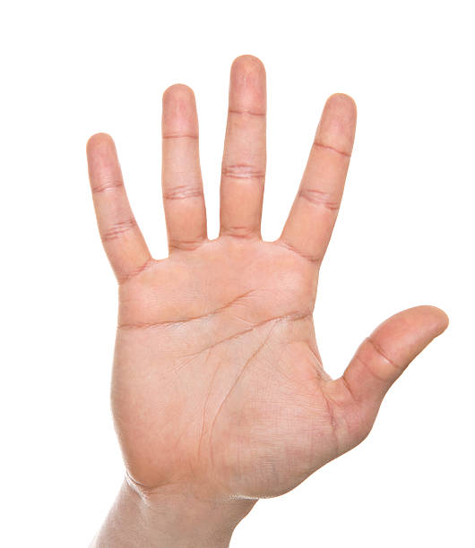 Smack Hand Stock Photos, Pictures & Royalty-Free Images - iStock Smack Hand Stock Photos, Pictures & Royalty-Free Images - iStock