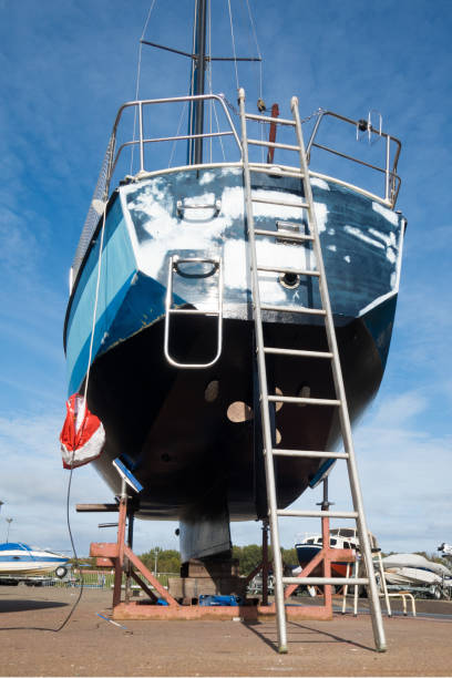 Low Angle Bow Boat Stock Photos, Pictures & Royalty-Free Images - iStock Low Angle Bow Boat Stock Photos, Pictures & Royalty-Free Images - iStock