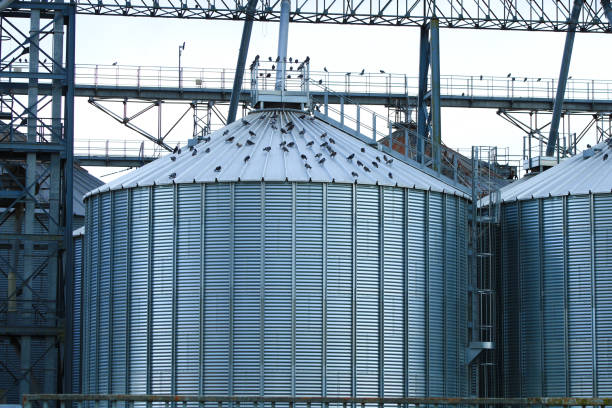 Bridging Silos Stock Photos, Pictures & Royalty-Free Images - iStock Bridging Silos Stock Photos, Pictures & Royalty-Free Images - iStock