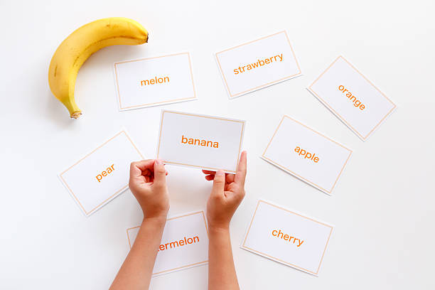 Studying Flashcards Stock Photos, Pictures & Royalty-Free Images - iStock Studying Flashcards Stock Photos, Pictures & Royalty-Free Images - iStock