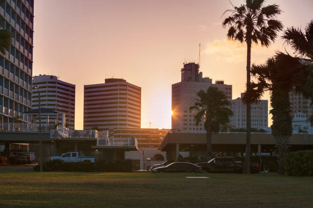 Corpus Christi Palm Tree Stock Photos, Pictures & Royalty-Free Images ... Corpus Christi Palm Tree Stock Photos, Pictures & Royalty-Free Images ...