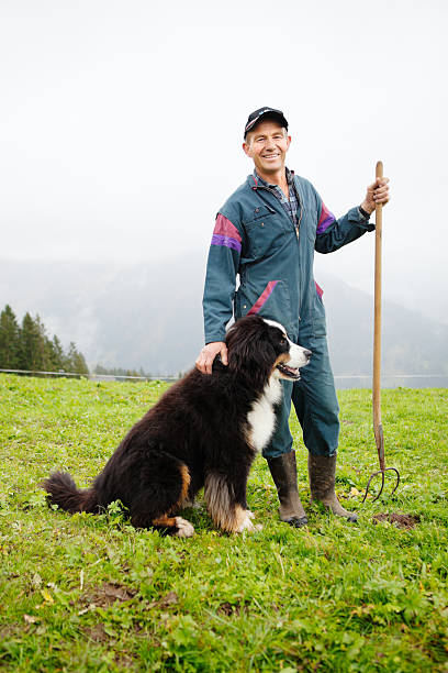 Schweizer Bauer - Bilder und Stockfotos - iStock Schweizer Bauer - Bilder und Stockfotos - iStock