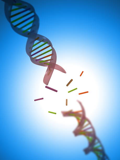 Dna Broken Stock Photos, Pictures & Royalty-Free Images - iStock Dna Broken Stock Photos, Pictures & Royalty-Free Images - iStock