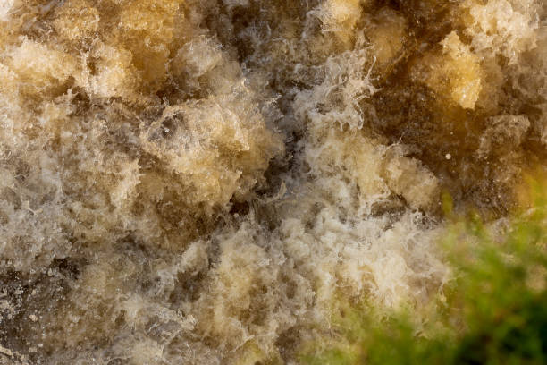 Turbid Liquid Stock Photos, Pictures & Royalty-Free Images - iStock Turbid Liquid Stock Photos, Pictures & Royalty-Free Images - iStock