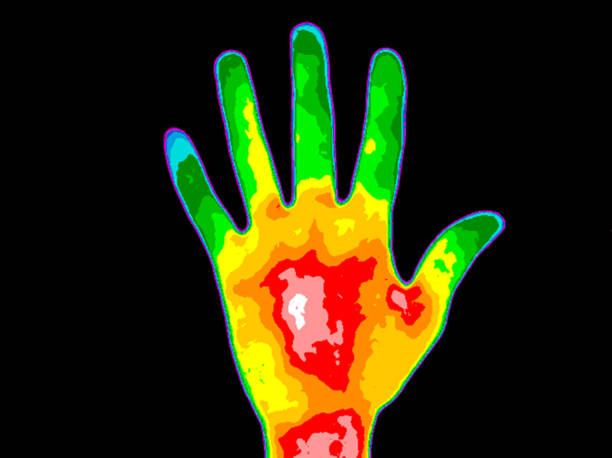 Thermal Image Hand Stock Photos, Pictures & Royalty-Free Images - iStock Thermal Image Hand Stock Photos, Pictures & Royalty-Free Images - iStock