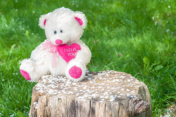 Tedy Bear - Banco de fotos e imágenes de stock - iStock Tedy Bear - Banco de fotos e imágenes de stock - iStock