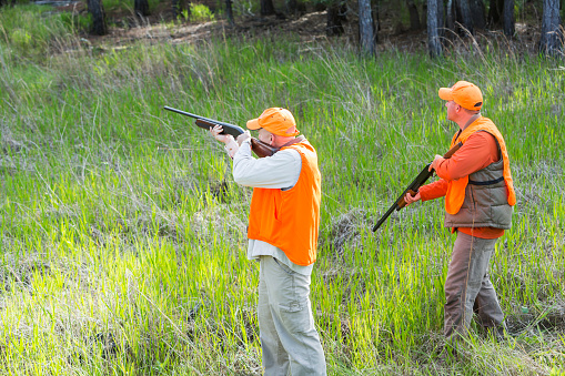 Two Hunters With Shotguns Taking Aim Stock Photo - Download Image Now ... Two Hunters With Shotguns Taking Aim Stock Photo - Download Image Now ...