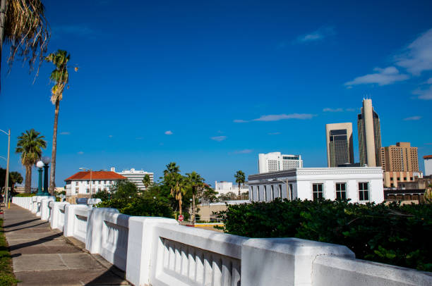 Corpus Christi Palm Tree Stock Photos, Pictures & Royalty-Free Images ... Corpus Christi Palm Tree Stock Photos, Pictures & Royalty-Free Images ...