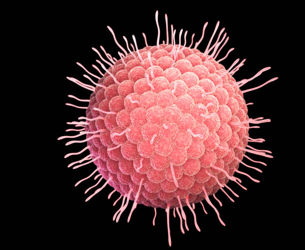 Poxvirus Ilustrações - Stock Photos e Imagens - iStock Poxvirus Ilustrações - Stock Photos e Imagens - iStock