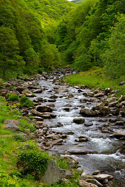 Watersmeet Stock Photos, Pictures & Royalty-Free Images - iStock Watersmeet Stock Photos, Pictures & Royalty-Free Images - iStock