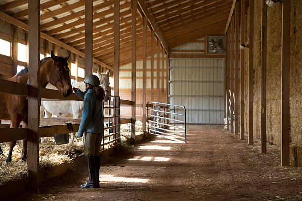 Best Horse Stable Stock Photos, Pictures & Royalty-Free Images - iStock Best Horse Stable Stock Photos, Pictures & Royalty-Free Images - iStock