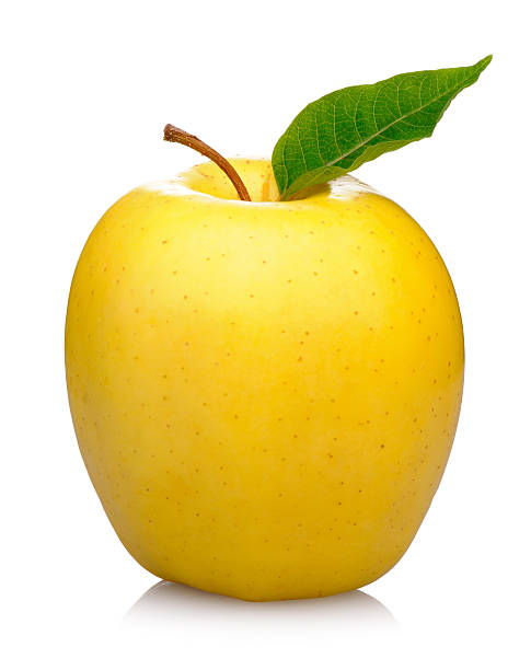 Yellow Apples Pictures, Images and Stock Photos - iStock Yellow Apples Pictures, Images and Stock Photos - iStock